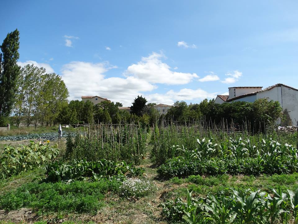 La ecoaldea de Tamera, Portugal, Biotipo de Sanación - EcoHabitar