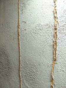 ¿Es posible acabar con las termitas? - EcoHabitar