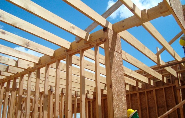 Guía completa de bioconstrucción - EcoHabitar