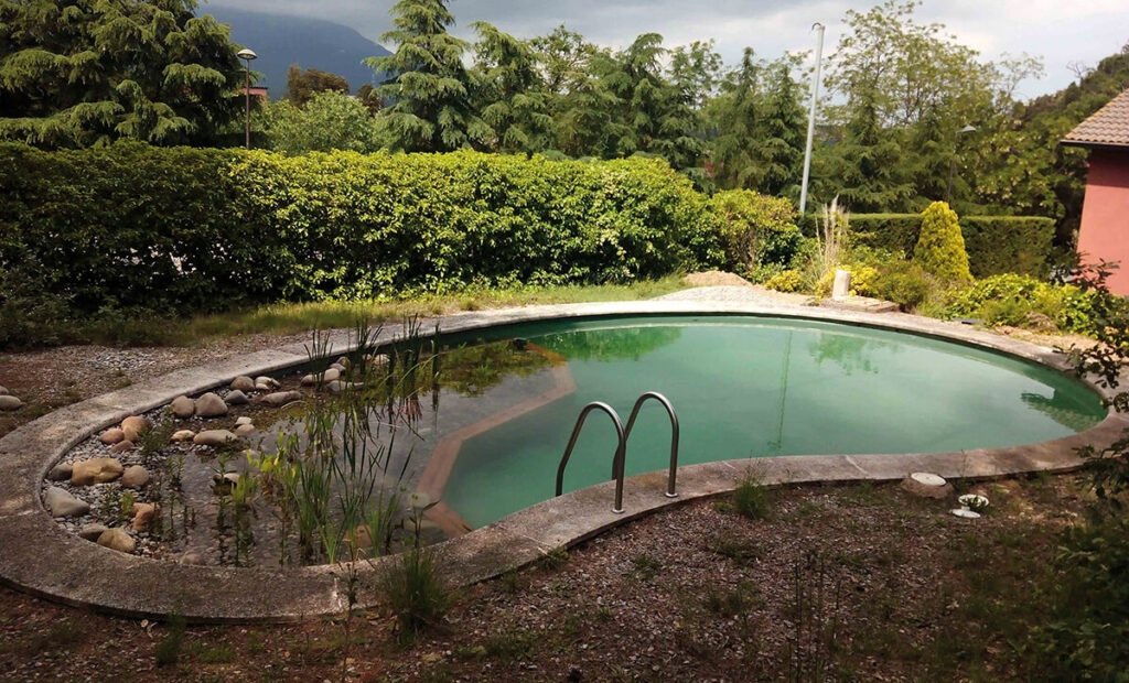Reconversión de piscina a estanque natural de baño - EcoHabitar ...