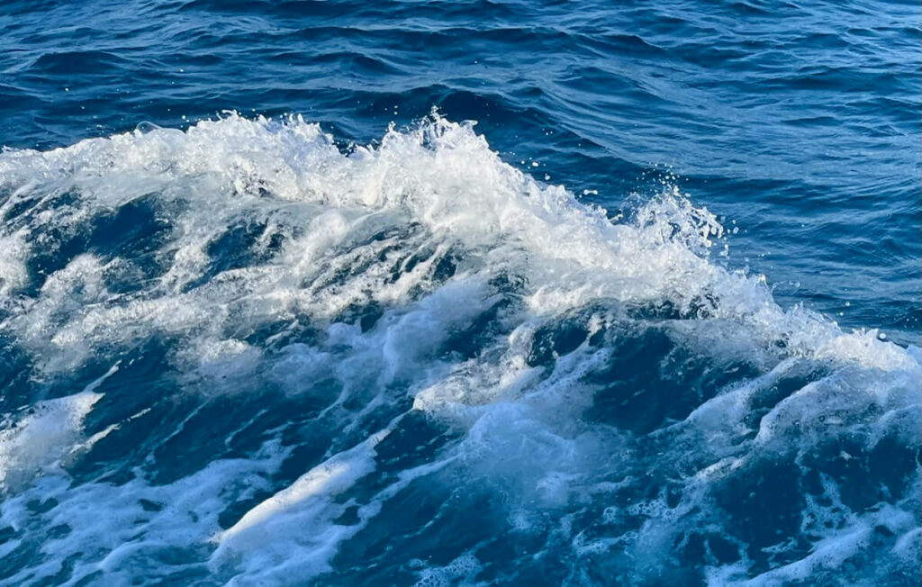 Cómo narrar el azul de este planeta - EcoHabitar