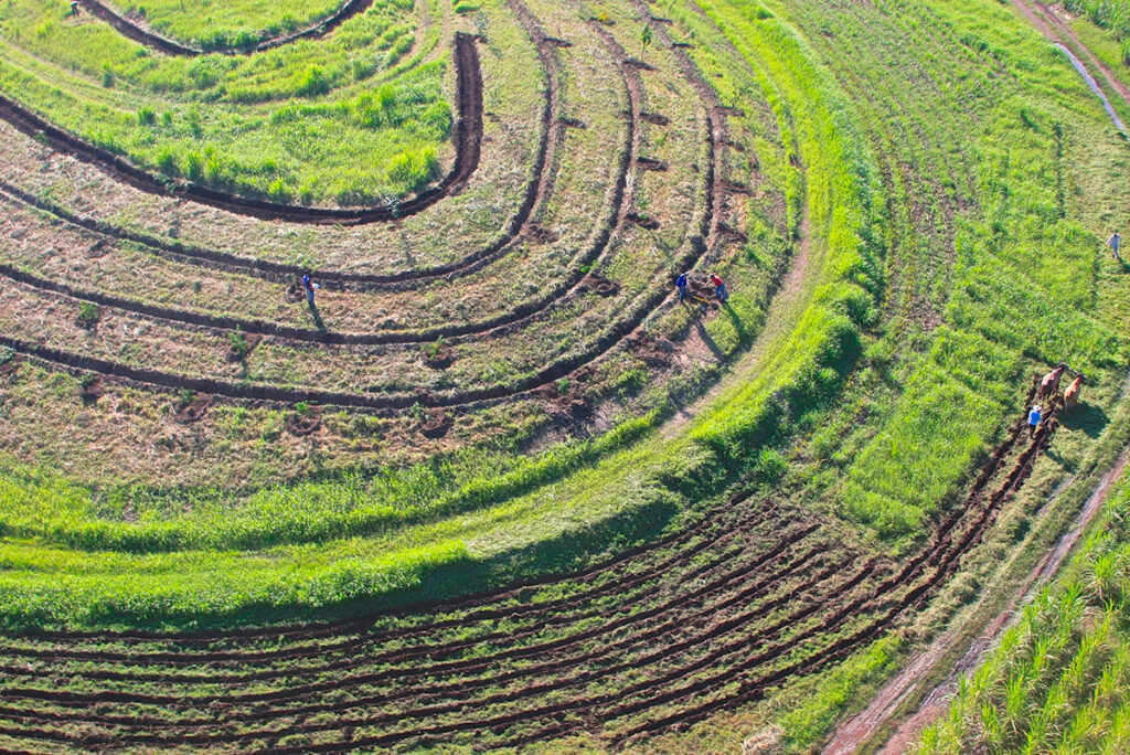 Impacto del Keyline en la escorrentía después de tormentas - EcoHabitar