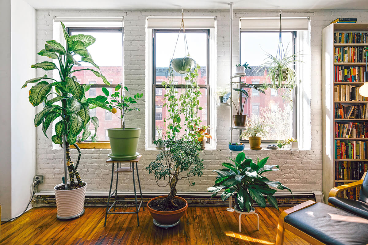 Mediciones de Salud del Hábitat y biohabitabilidad - EcoHabitar