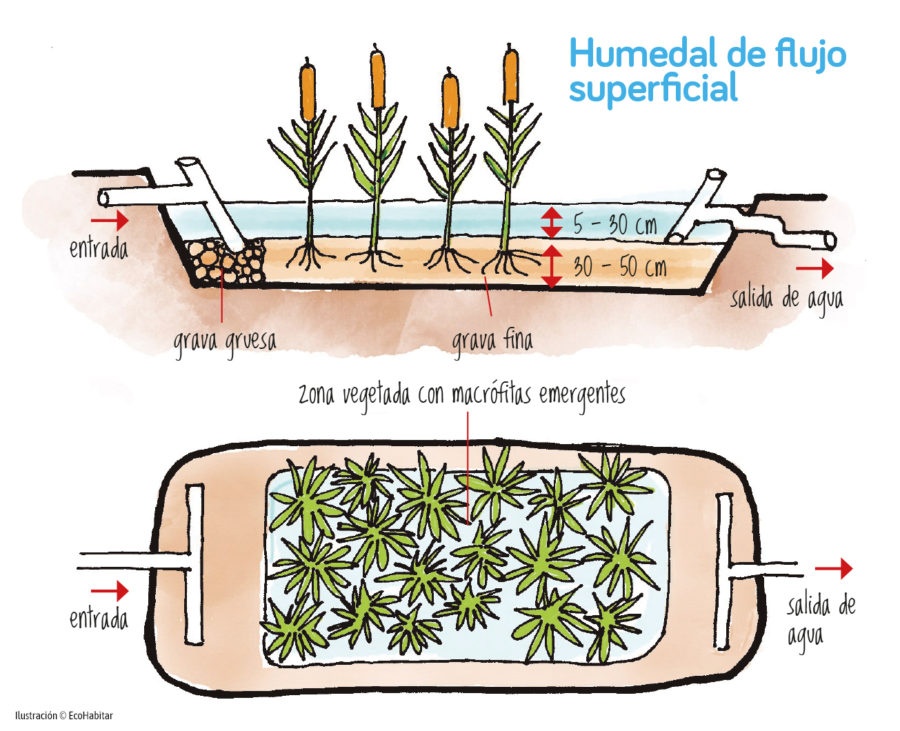 Depuración ecológica del agua - EcoHabitar